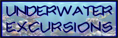 underwater-excursions-logo | Kathleen's Graphics